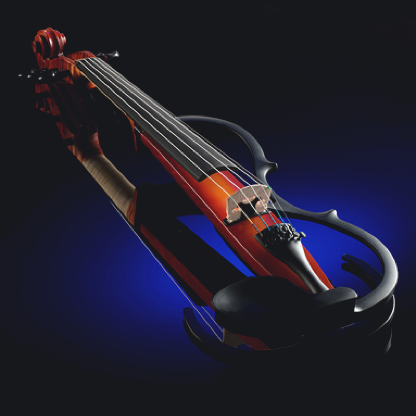 Electric Instruments - Metzler Violin Shop Inc.